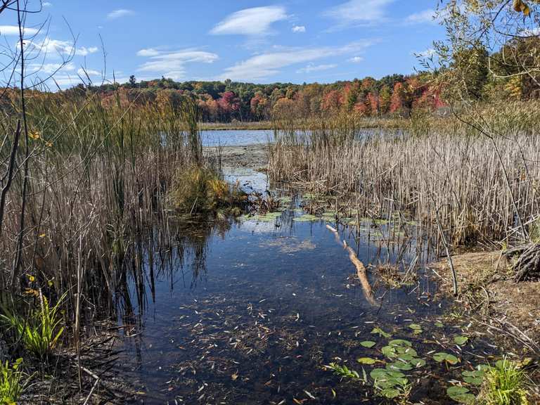 Die 10 schönsten Wanderungen rund um Den Lake St. Clair | Komoot