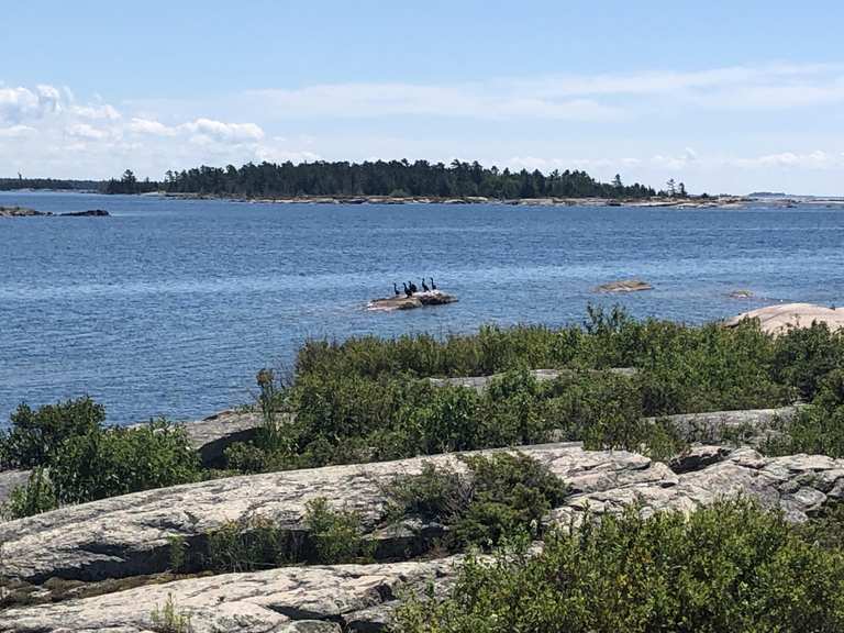 Top 10 Hikes and Walks around Lake Huron | Komoot
