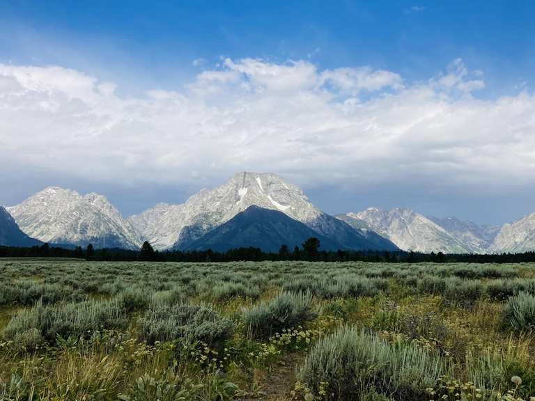 Top 10 Hikes and Walks around Jackson Lake | Komoot