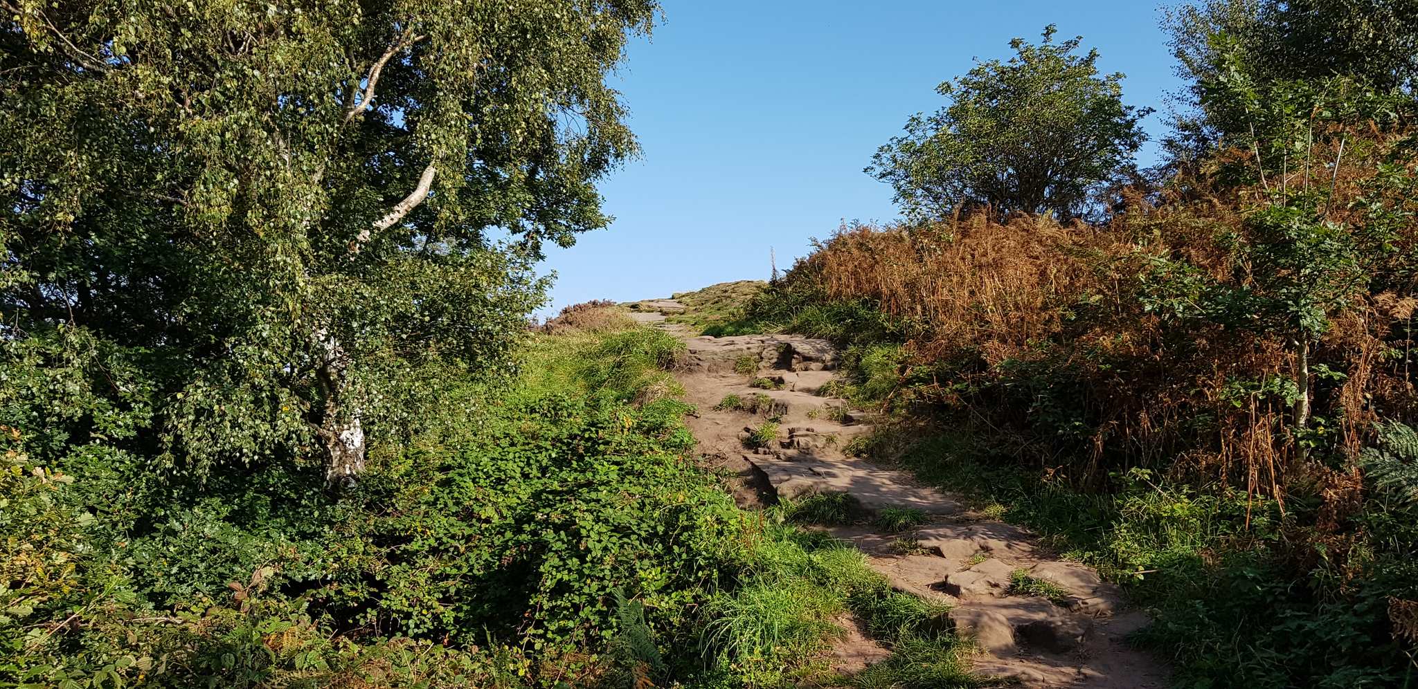 Top 20 Hikes and Walks in Cheshire West and Chester | Komoot