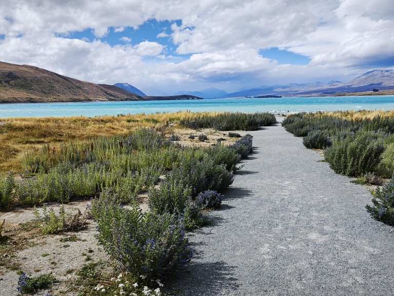 The best walks and hikes around Lake Tekapo | Komoot