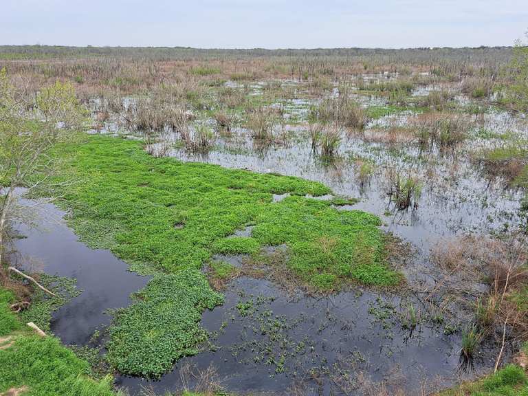 Attractions and Places To See in Fort Bend County - Top 20 | Komoot