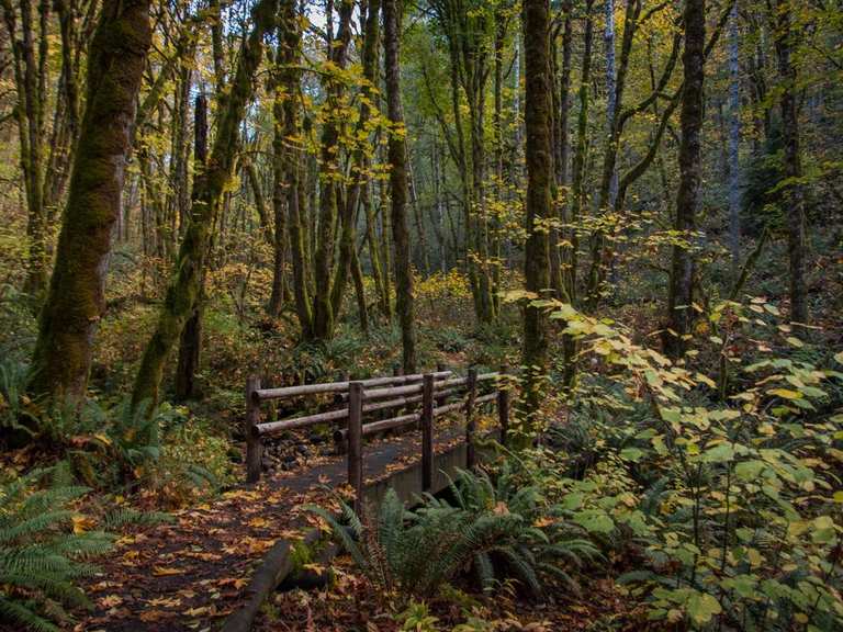 Top 10 Hikes and Walks in Benton County | Komoot