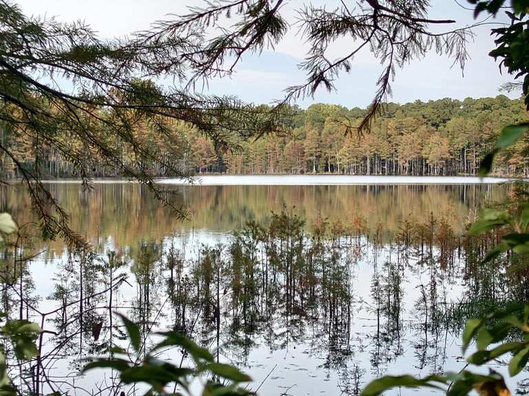 Top 6 Running Trails in Cumberland County | Komoot