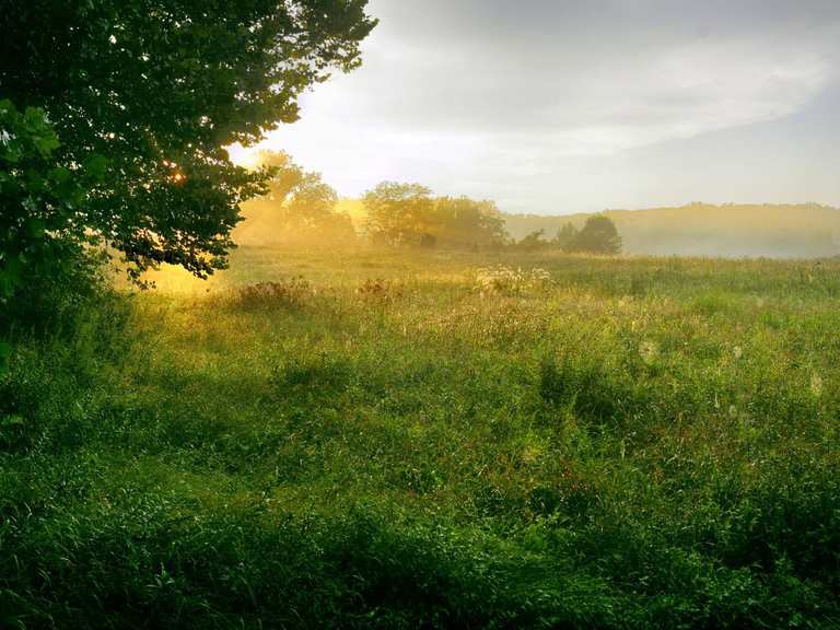 Top 10 Running Trails in Baltimore County | Komoot