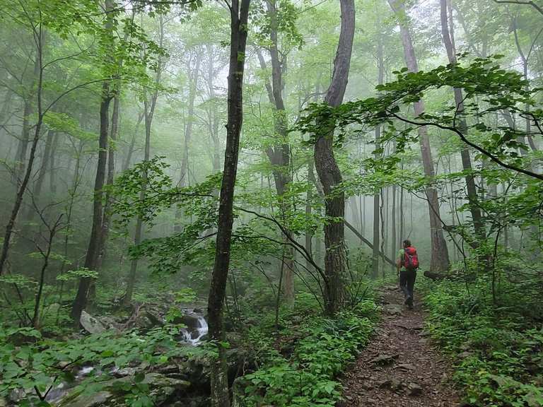 Top 10 Hikes and Walks in Madison County | Komoot