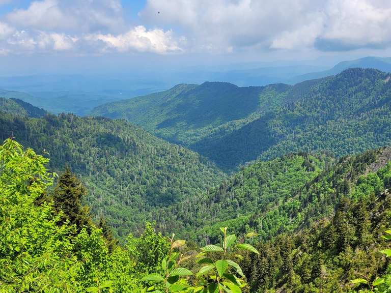 Top 10 Hikes and Walks in Swain County | Komoot