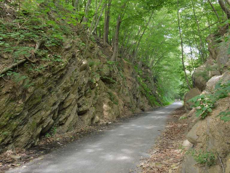 Top 10 Hikes and Walks in Schuylkill County | Komoot