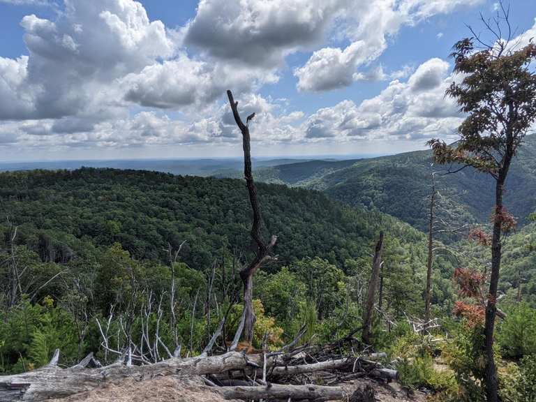 The best walks and hikes in Cleveland County | Komoot