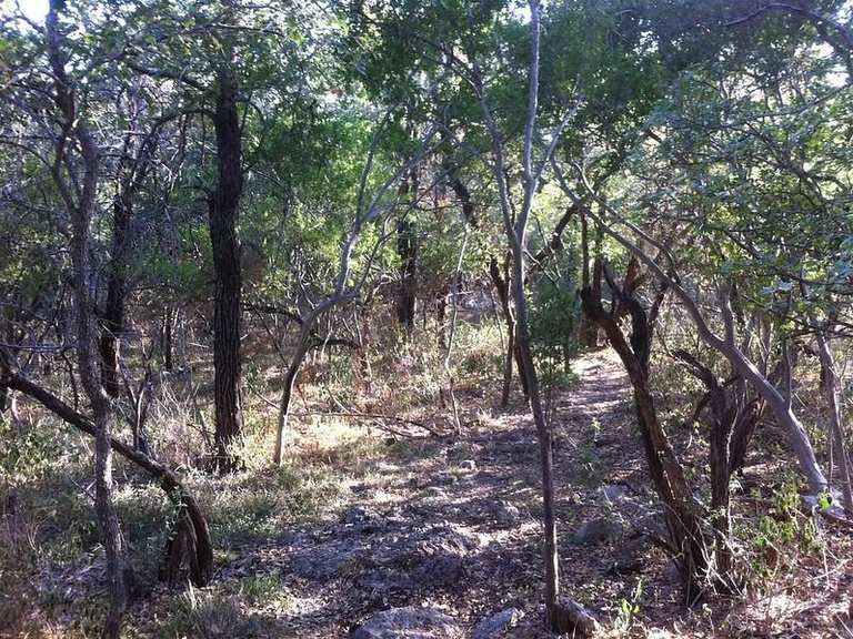 Top 10 Hikes and Walks in Hays County | Komoot