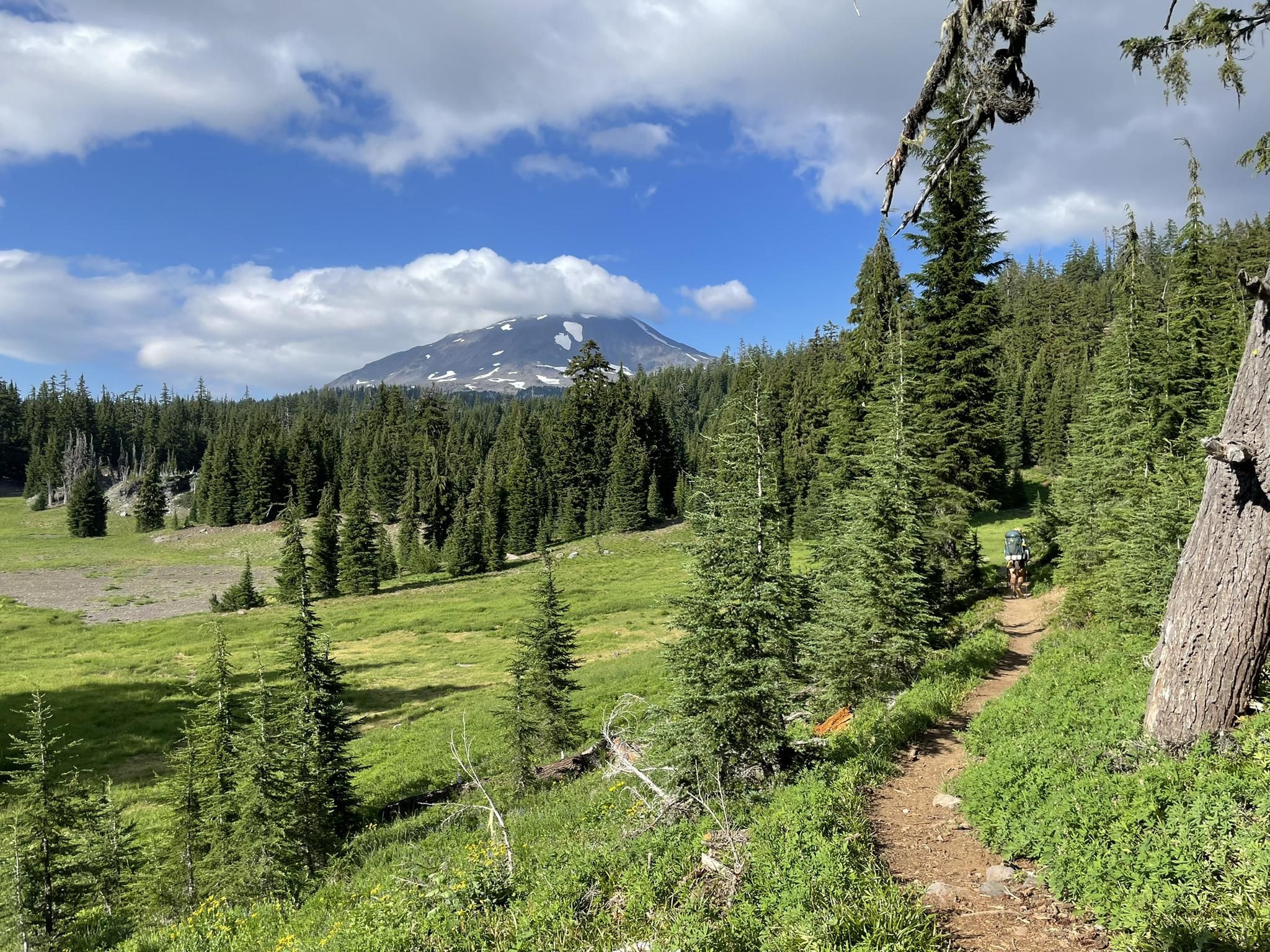 Top 10 Hikes and Walks in Lane County | Komoot