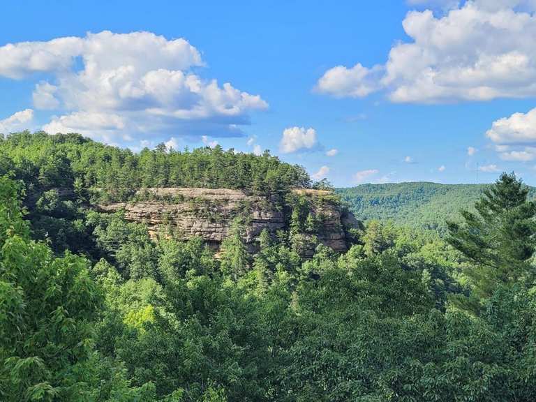 Top 10 Hikes and Walks in Powell County | Komoot