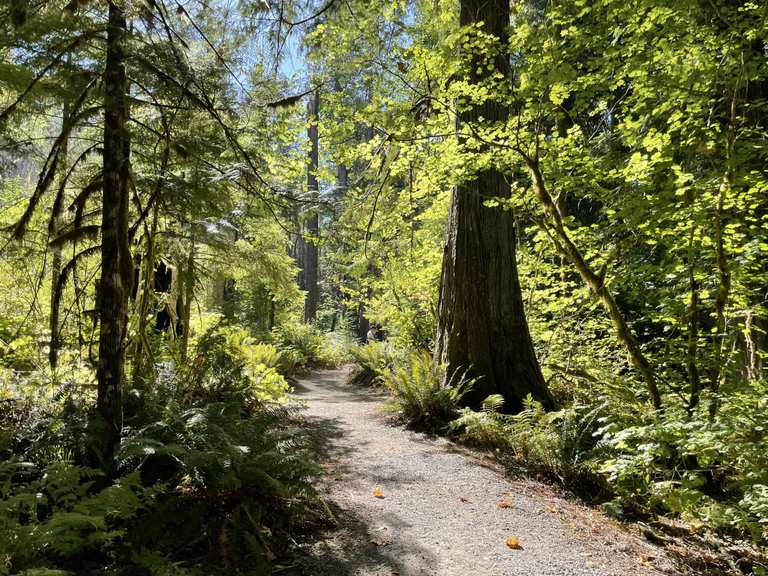 Top 10 Bike Rides and Cycling Routes in Whatcom County | Komoot