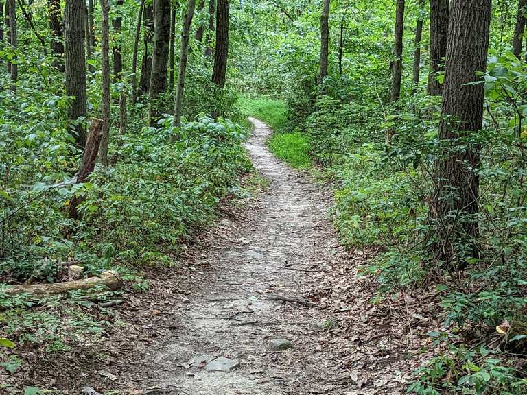 Top 10 Most Beautiful MTB Trails in Lancaster County | Komoot