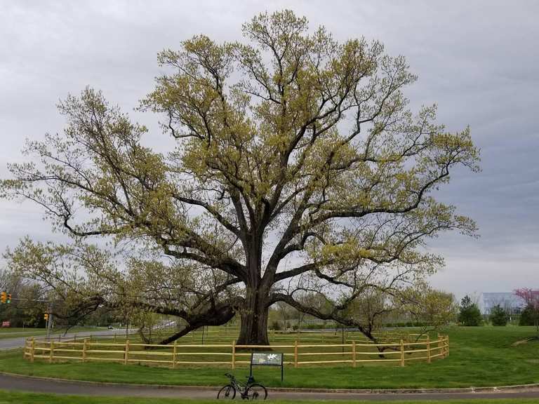 Top 10 Hikes and Walks in Mercer County | Komoot