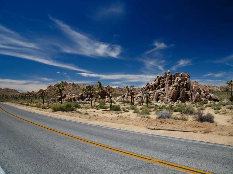 Top 9 Bike Rides and Cycling Routes in Joshua Tree National Park | Komoot