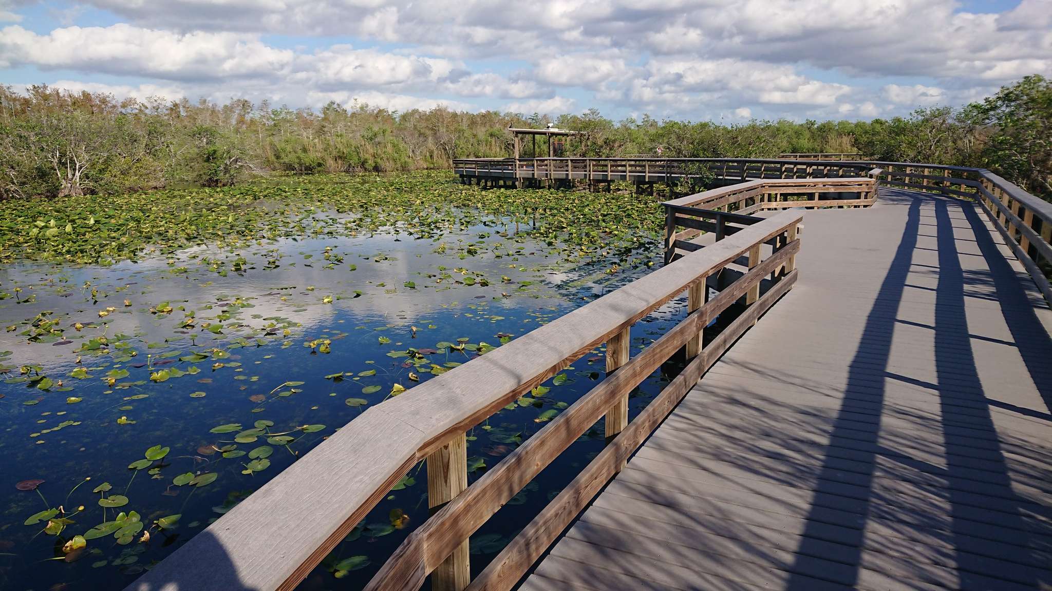 Top 10 Hikes and Walks in Everglades National Park | Komoot