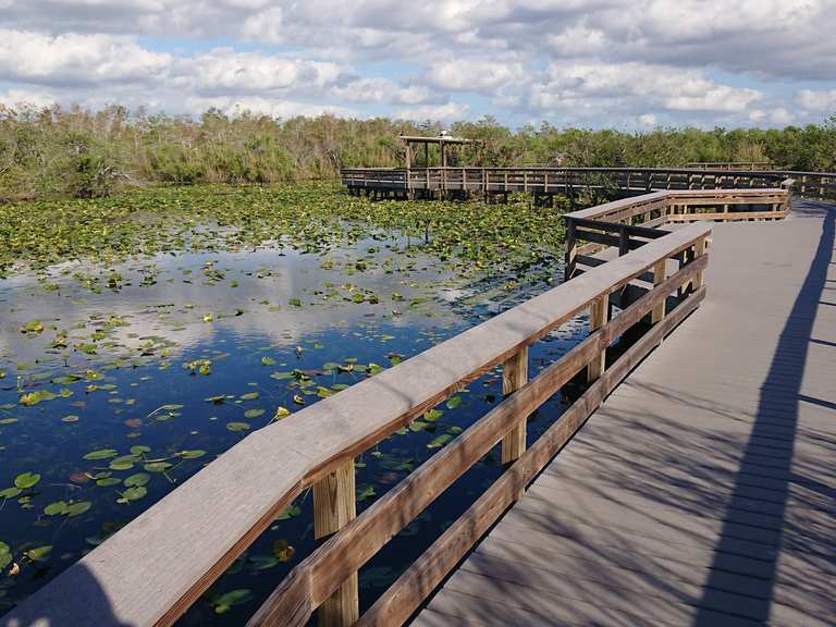 Top 10 Hikes and Walks in Everglades National Park | Komoot