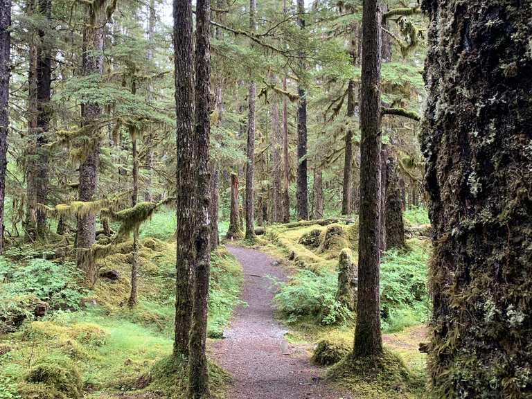 Top 7 Hikes and Walks in Glacier Bay National Park | Komoot