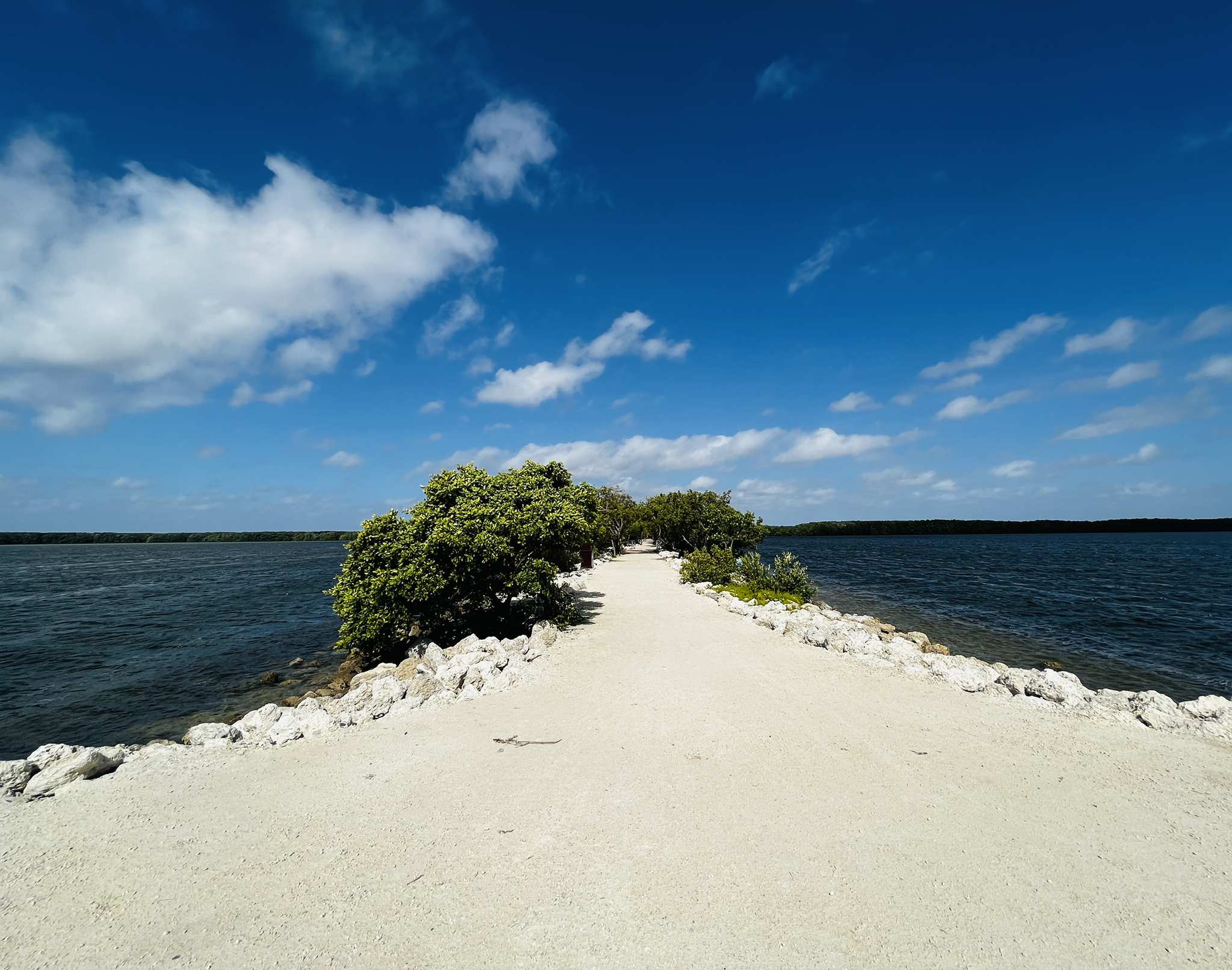 Top 10 Hikes and Walks in Biscayne National Park | Komoot