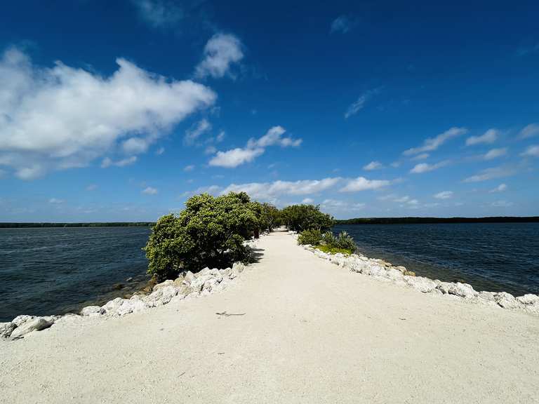 Top 10 Hikes and Walks in Biscayne National Park | Komoot