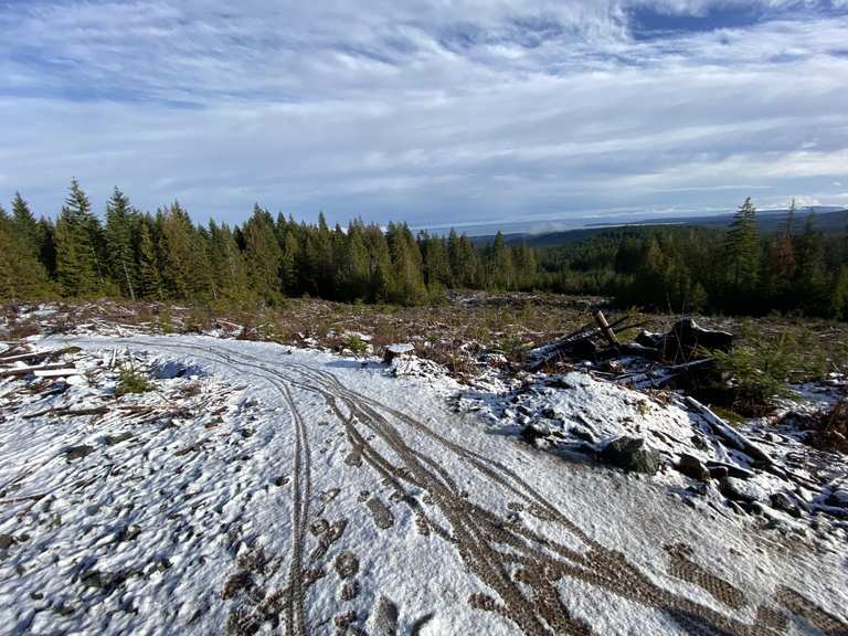 Top 6 Hikes and Walks around Area A (Baynes Sound) | Komoot