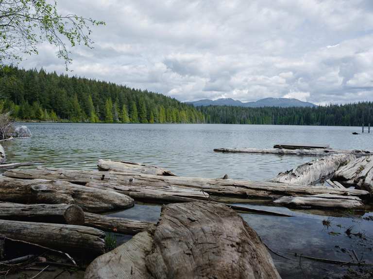 Top 6 Hikes and Walks around Area C (Lois Lake/Saltery Bay) | Komoot