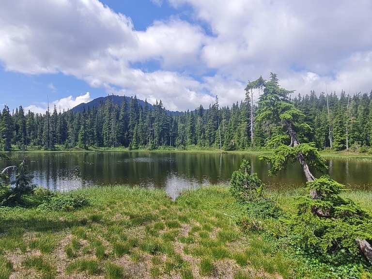 Top 10 Hikes and Walks around Area C (Puntledge/Black Creek) | Komoot