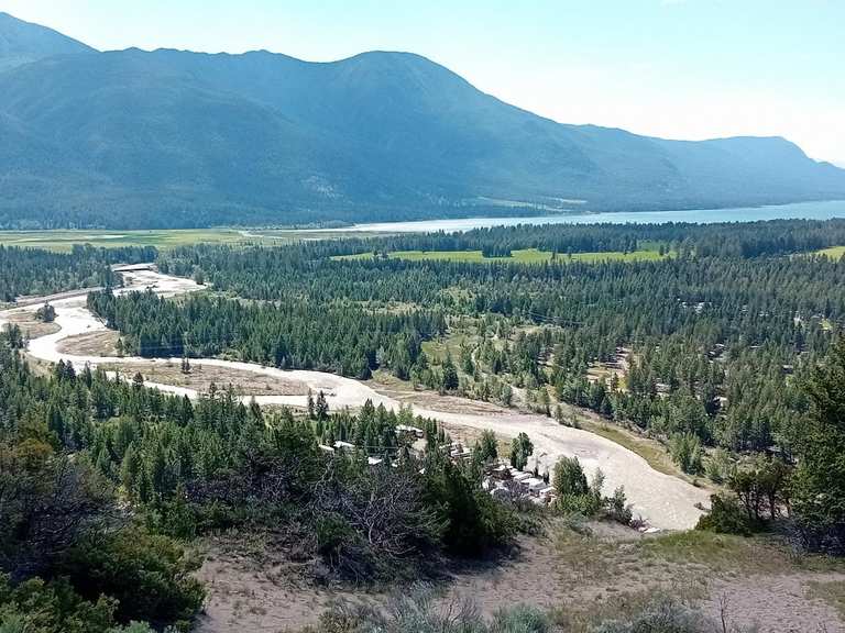 Top 7 Hikes and Walks around Area F (Columbia Lake/Windermere Lake ...