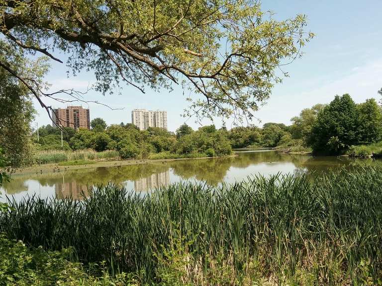 Top 10 Hikes and Walks around Richmond Hill | Komoot