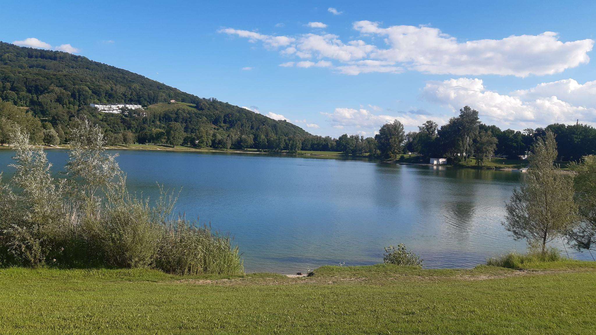 Die 10 schönsten Wanderungen rund um den Pleschinger See | Komoot