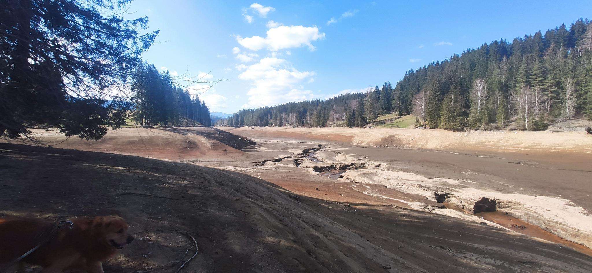 Die 7 schönsten Wanderungen rund um den Packer Stausee | Komoot