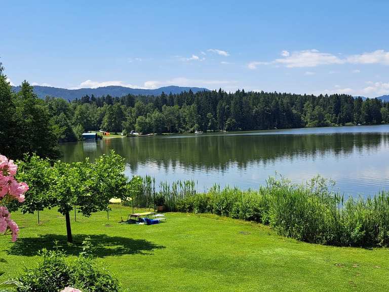 Die 10 schönsten Wanderungen rund um den Maltschacher See | Komoot