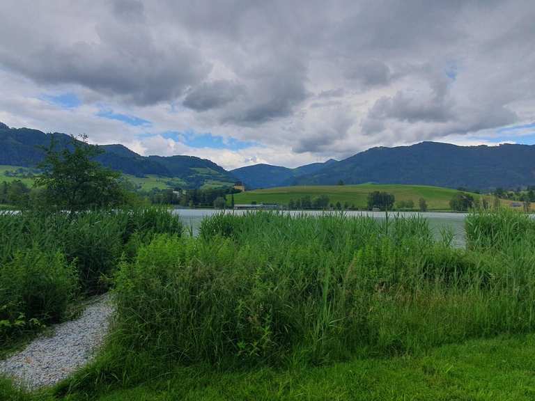 Die schönsten Wanderungen rund um den Putterersee | Komoot