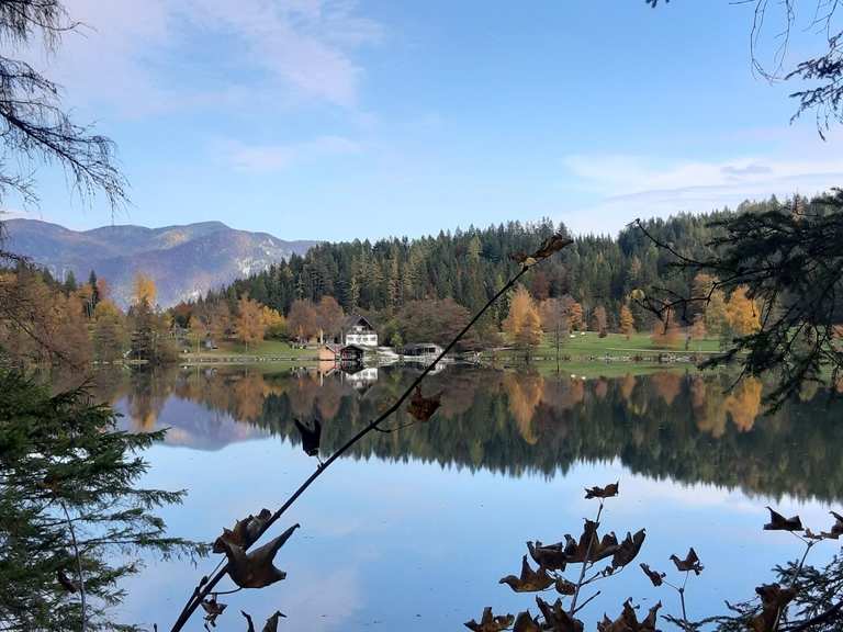 Die 10 schönsten Wanderungen rund um den Gleinkersee | Komoot
