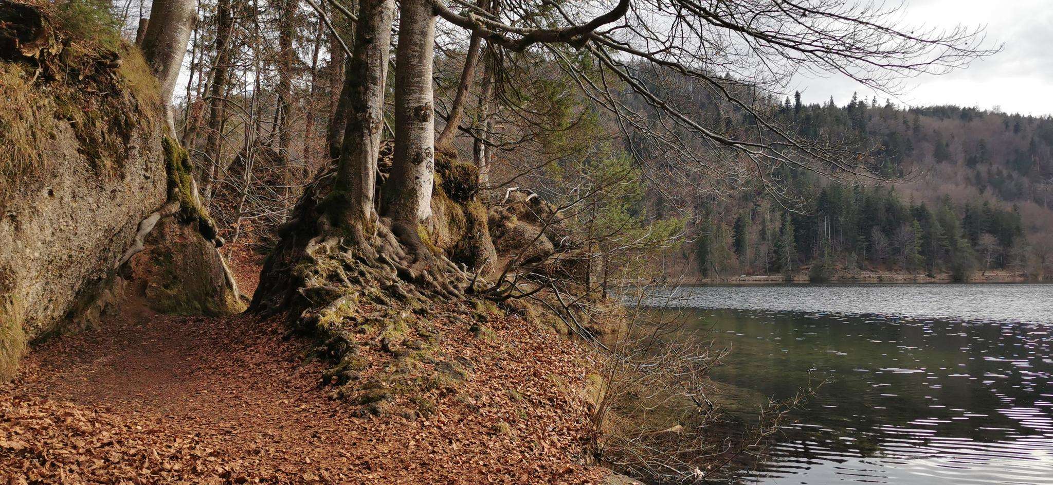 Die 10 schönsten Wanderungen rund um den Hechtsee | Komoot