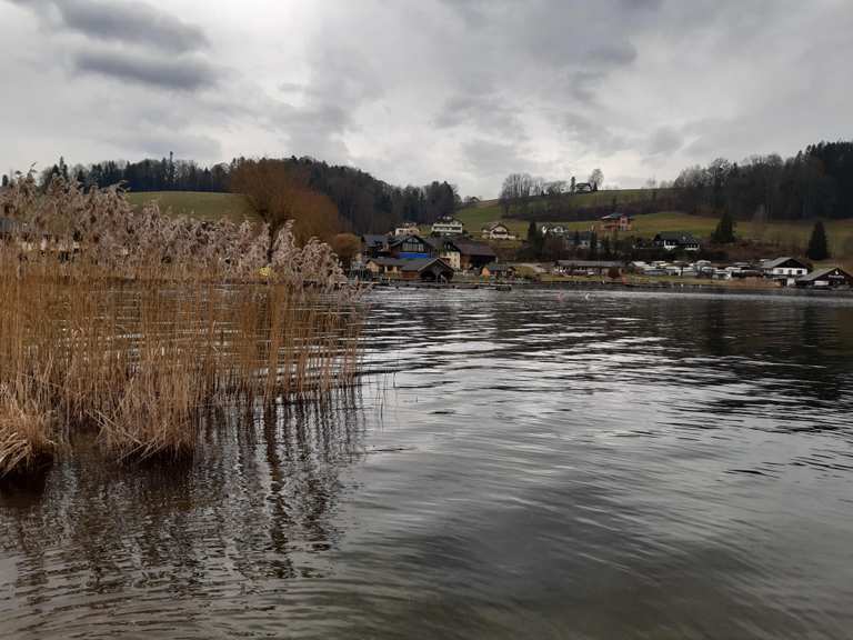 Die 10 schönsten Fahrradtouren rund um den Obertrumer See | Komoot