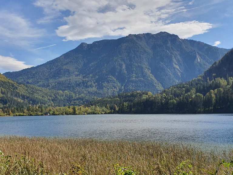 Die 8 schönsten Rennradtouren rund um den Lunzer See | Komoot