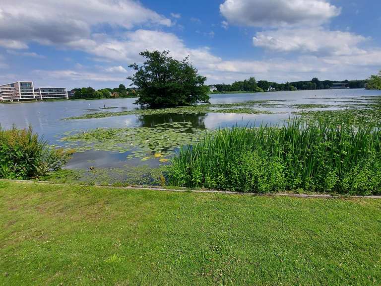 De 10 mooiste fietsroutes rond Donkmeer | Komoot