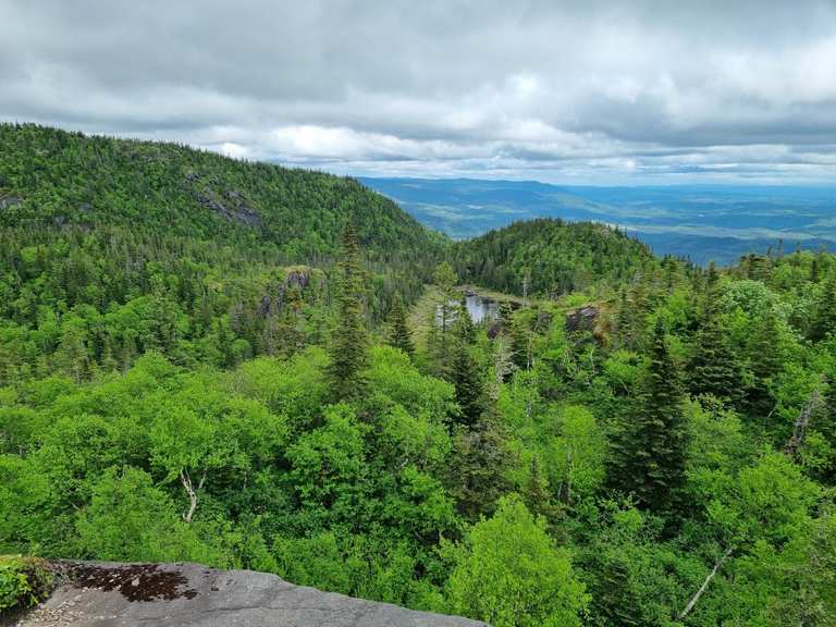 Top 9 randonnées et balades autour de Mont-Valin | Komoot