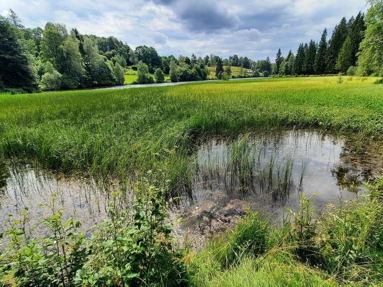 Die 10 schönsten Wanderungen rund um Dachsberg (Südschwarzwald) | Komoot