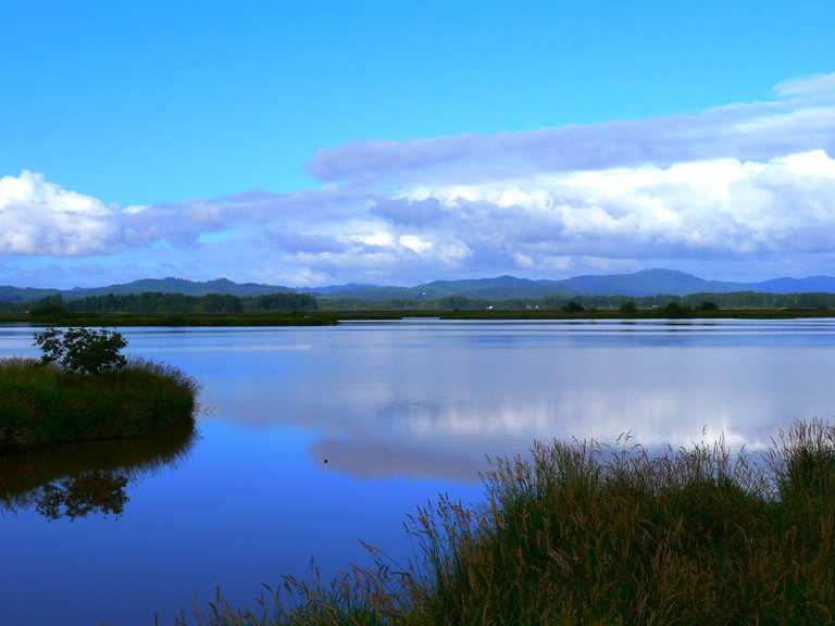 Top 10 Hikes and Walks around Fern Ridge Reservoir | Komoot