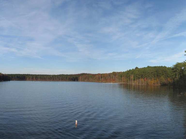 Top 10 Hikes and Walks around Falls Lake Reservoir | Komoot