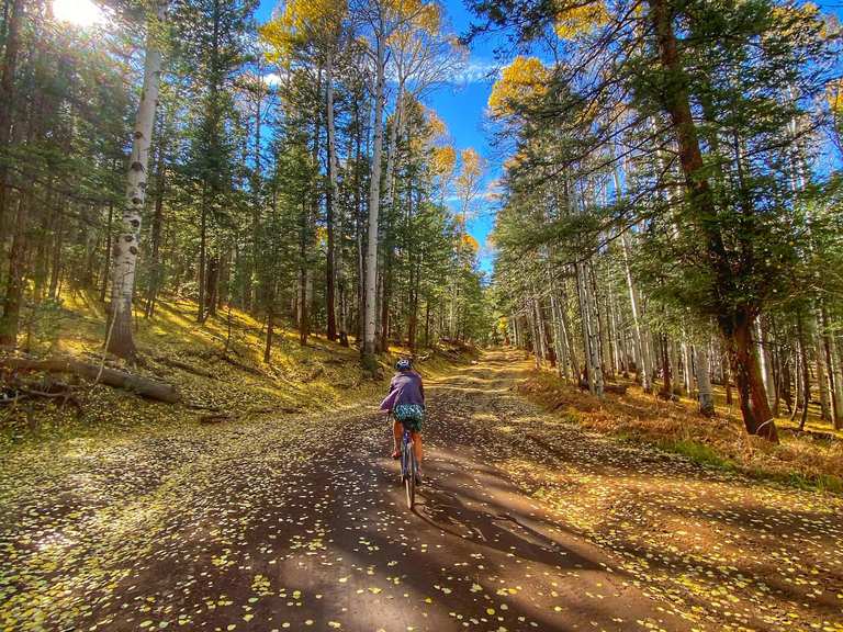 Top 5 Bike Rides and Cycling Routes in Coconino National Forest | Komoot