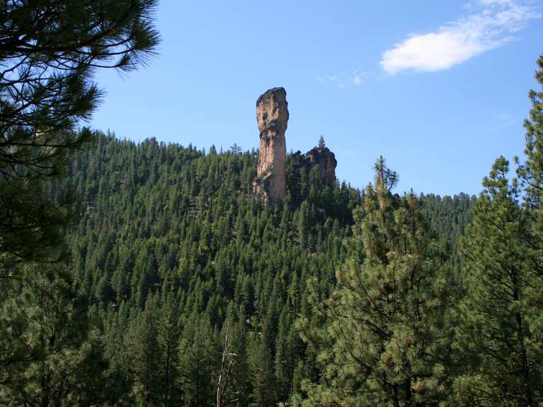 Top 10 Hikes and Walks in Ochoco National Forest | Komoot