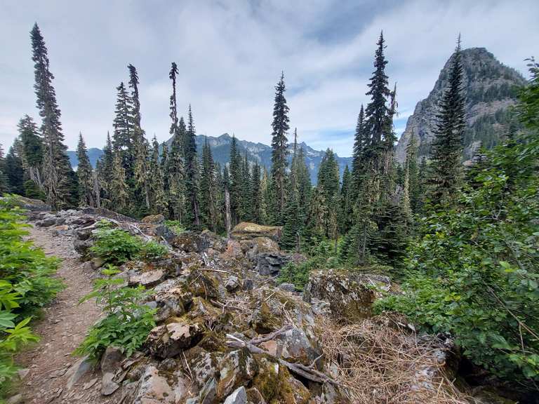 Top 10 Bike Rides and Cycling Routes in Mt. Baker-Snoqualmie National ...