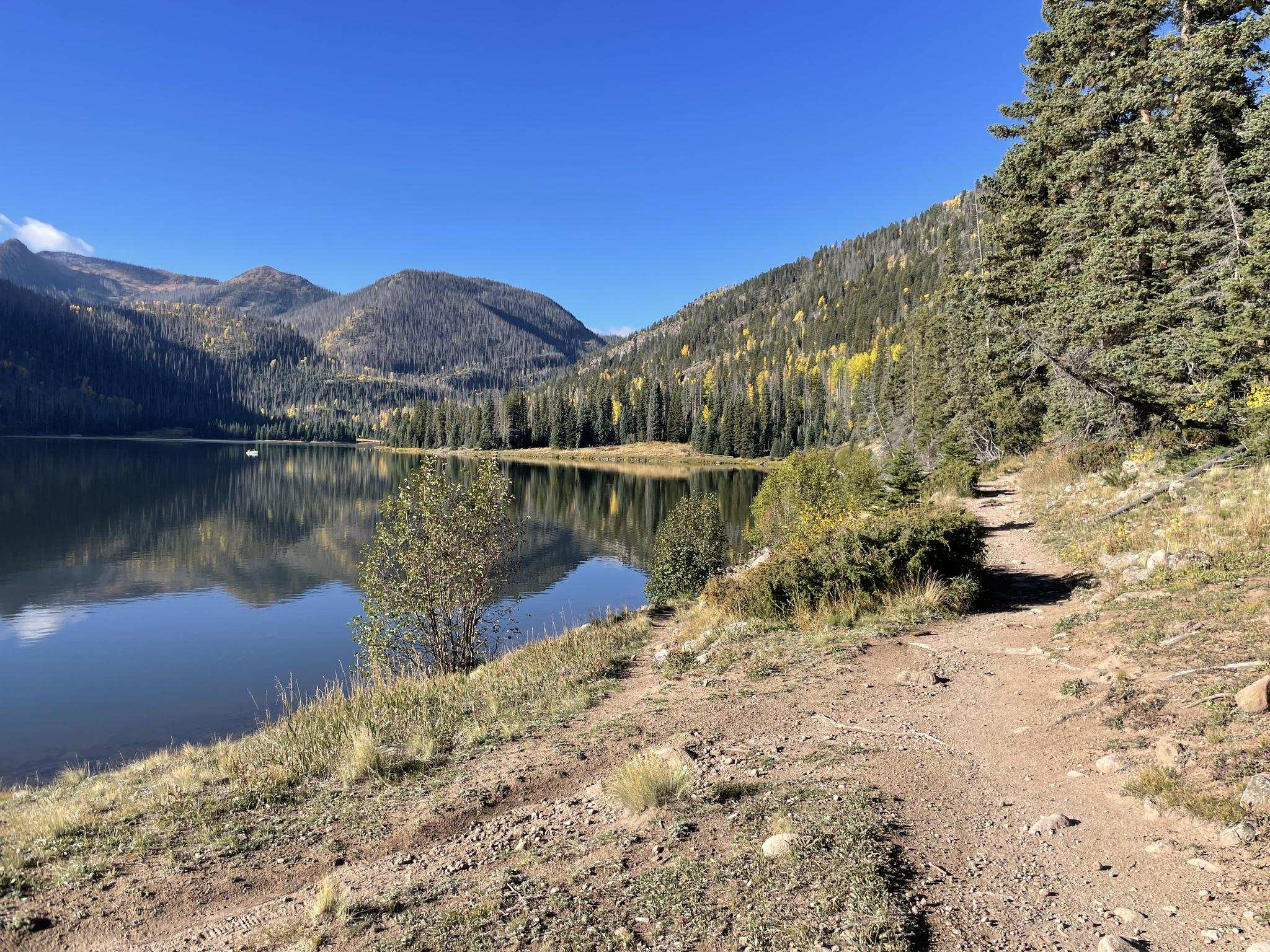 Top 11 Hikes and Walks in Rio Grande National Forest | Komoot