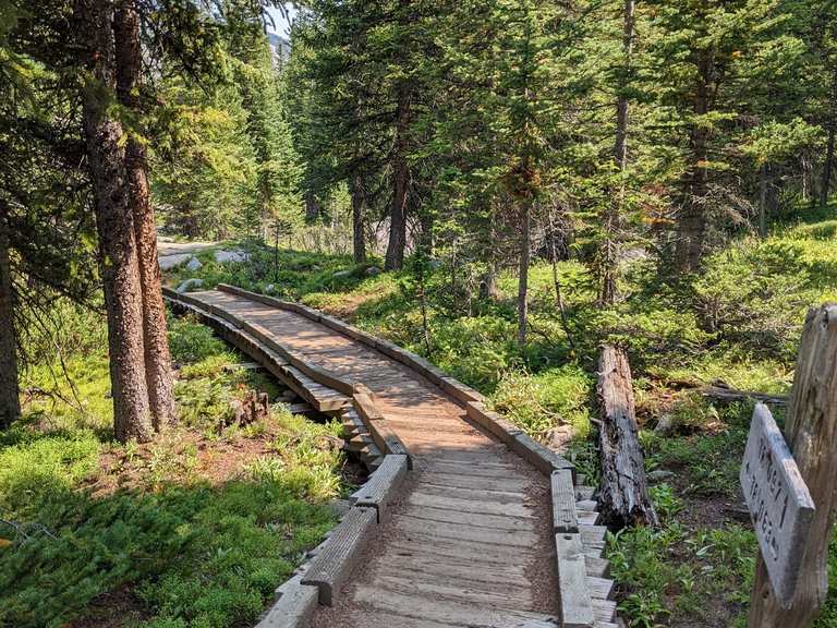Le 18 escursioni e trekking migliori nella Bighorn National Forest | komoot