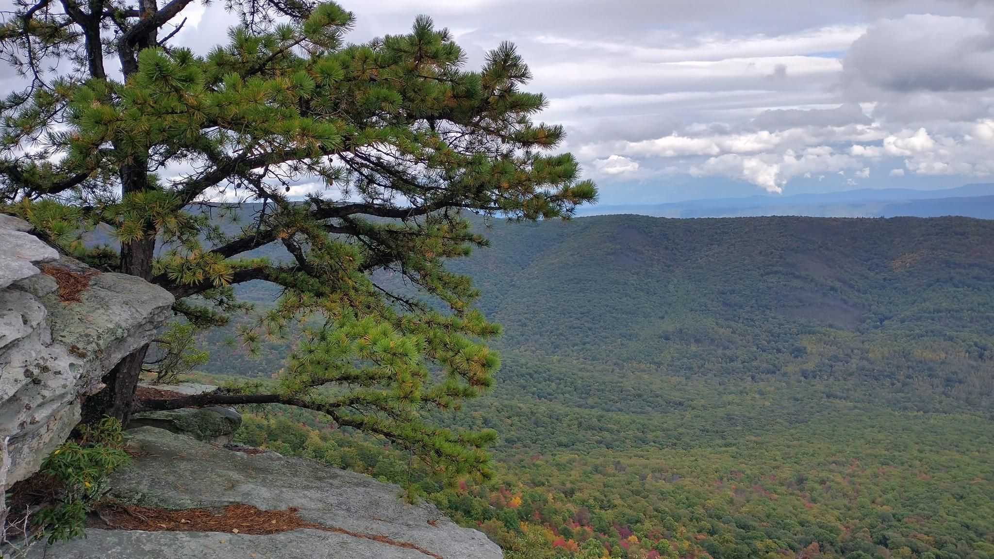 Top 10 Hikes and Walks in George Washington And Jefferson National ...