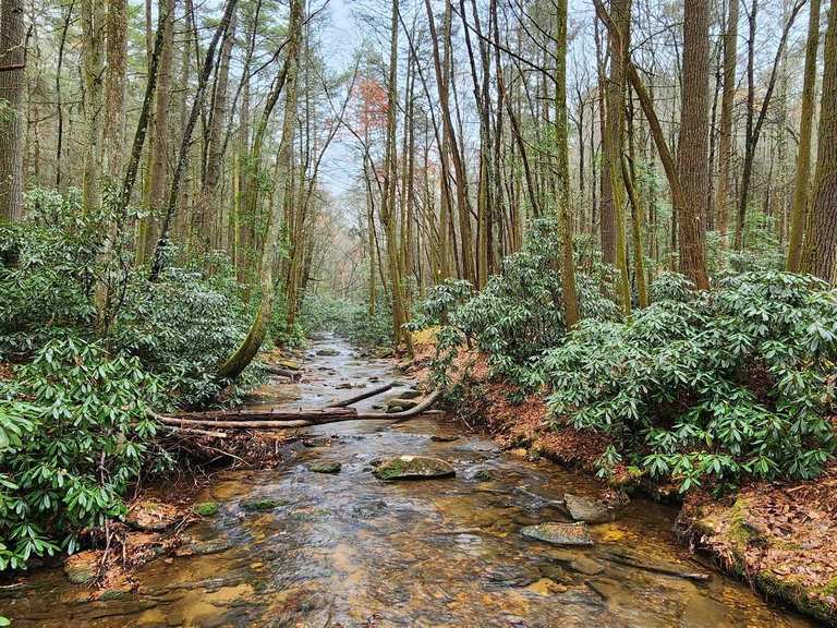 Top 20 Most Beautiful MTB Trails in Chattahoochee-Oconee National ...